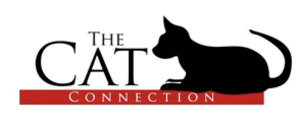 Contact Us | The Cat Connection | Cat Rescue - Waltham, MA